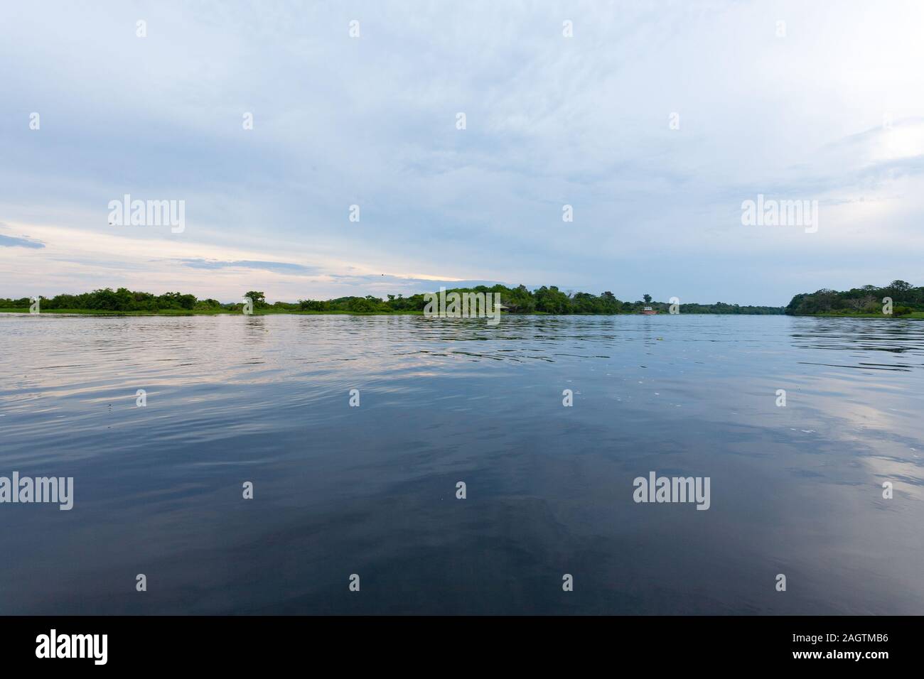 Panorama from Amazon rainforest, Brazilian wetland region. Navigable ...