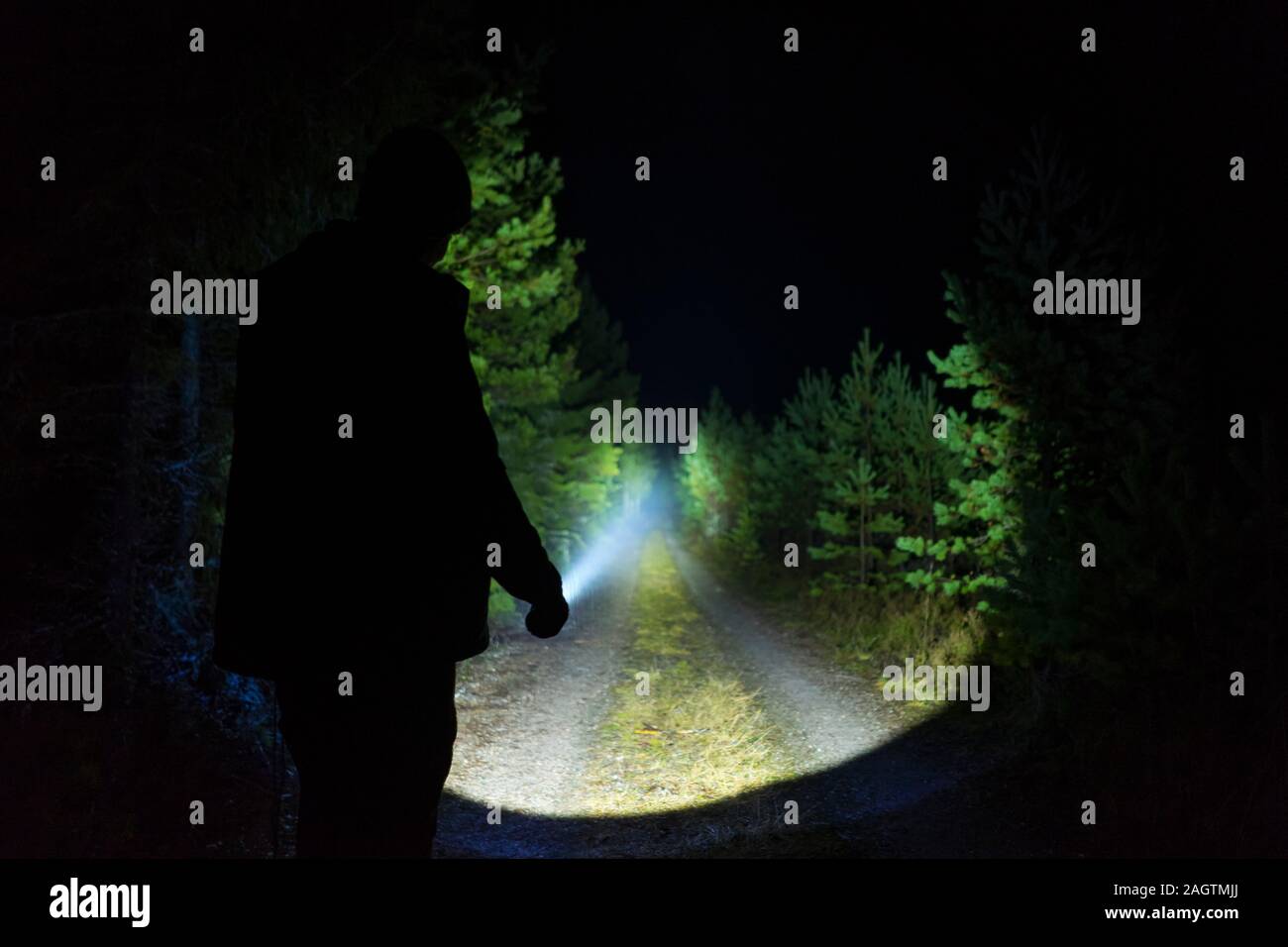 Flashlight shining wood hi-res stock photography and images - Alamy