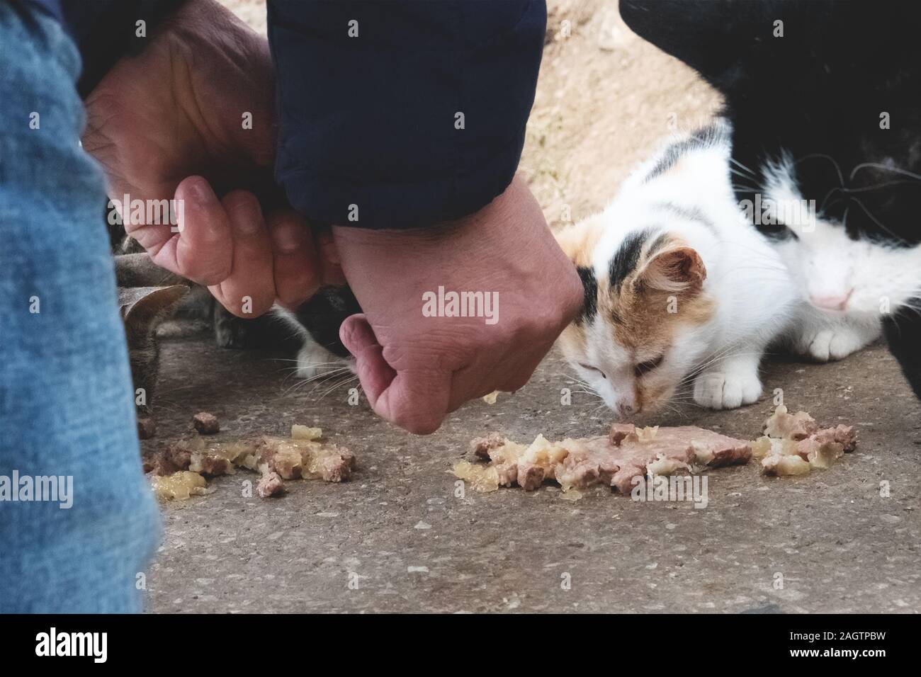 The cats meat man hi-res stock photography and images - Alamy