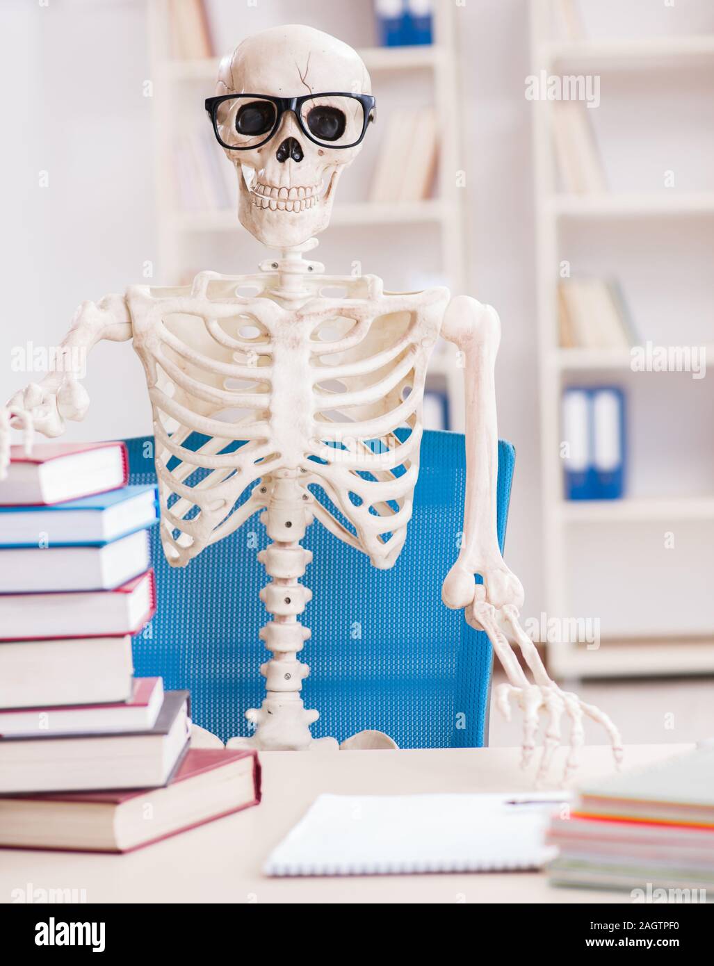 The student skeleton preparing for exams Stock Photo - Alamy