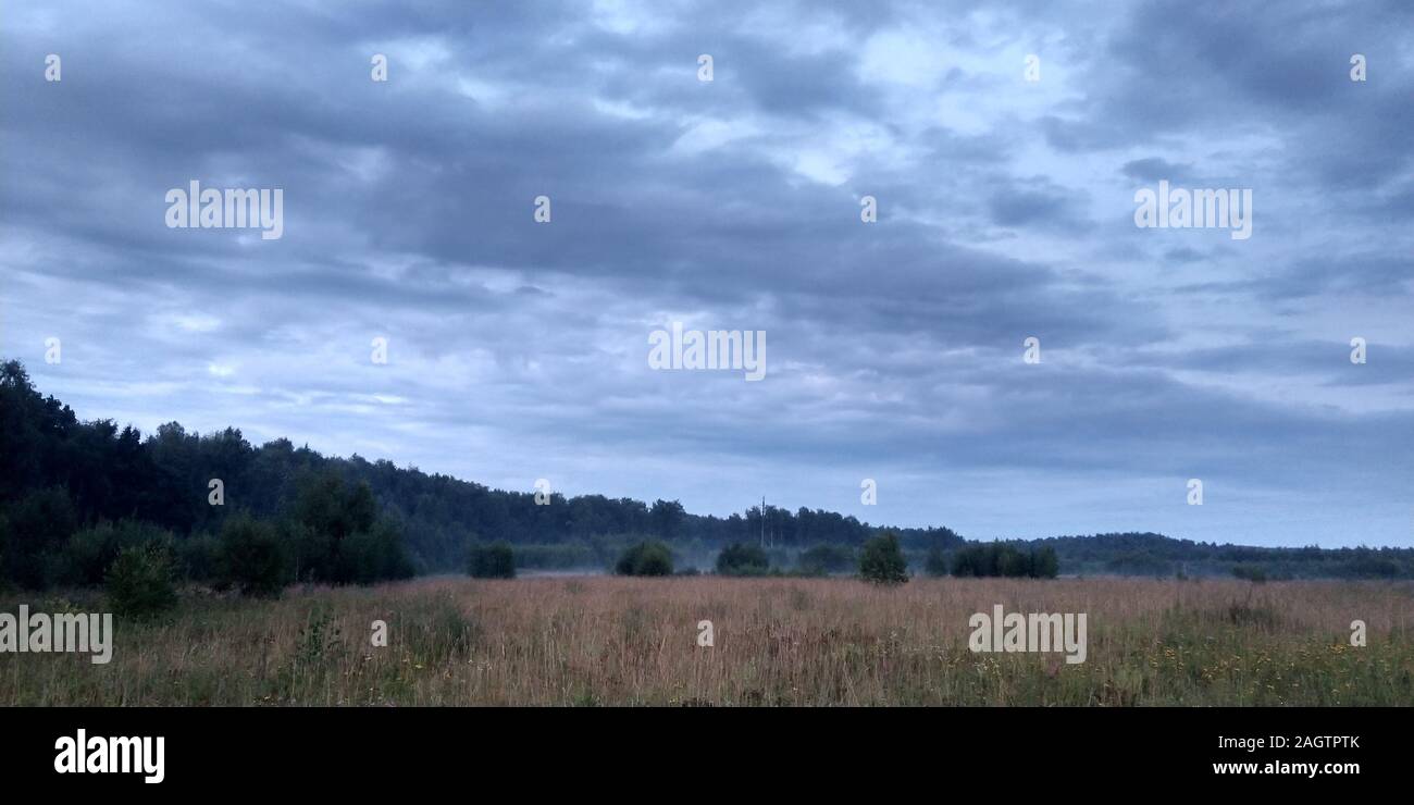 Scenic forest wallpaper pattern hi-res stock photography and images - Alamy
