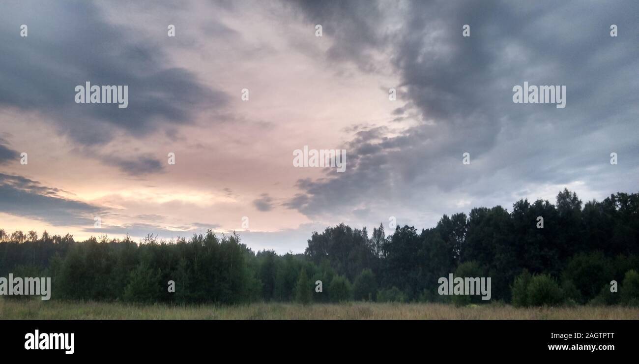 Nature pattern background. Beautiful landscape. Sunset in the forest ...