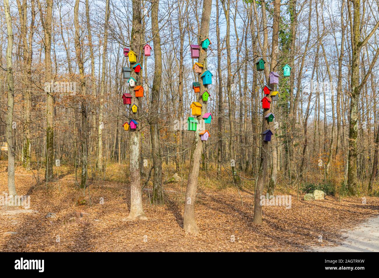 African beehives hi-res stock photography and images - Alamy