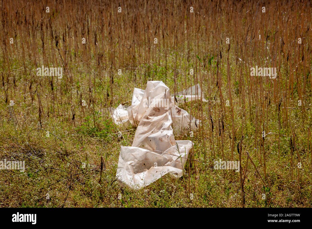 a piece of discarded plastic film on untreated field Stock Photo - Alamy