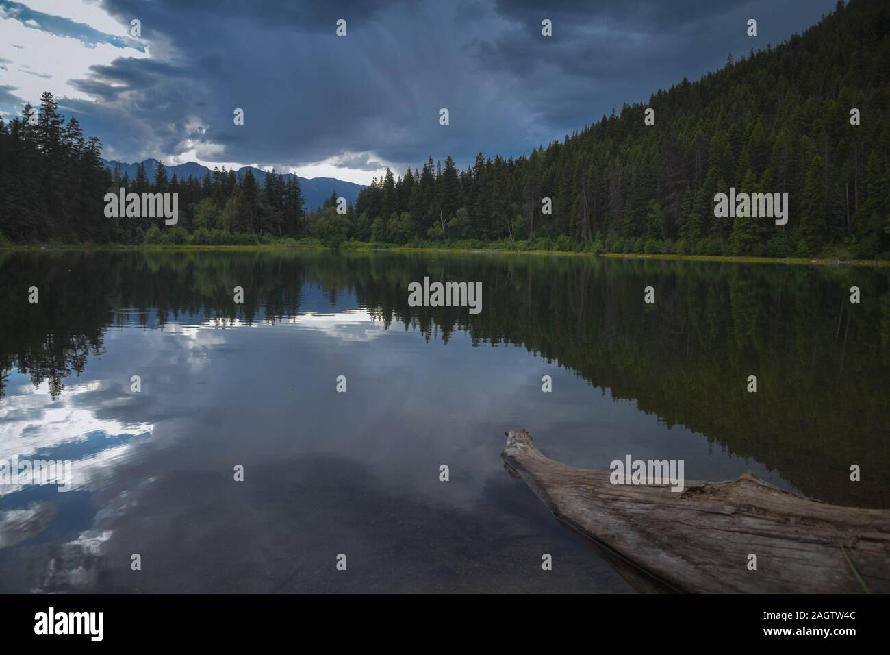 Dark alpine lake reflections of storm clouds and pine trees Stock Photo ...