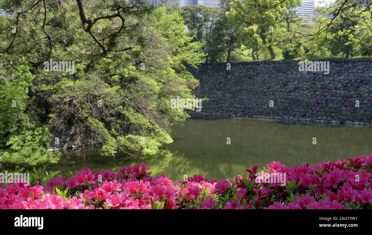 Moat around royal palace hi-res stock photography and images - Alamy