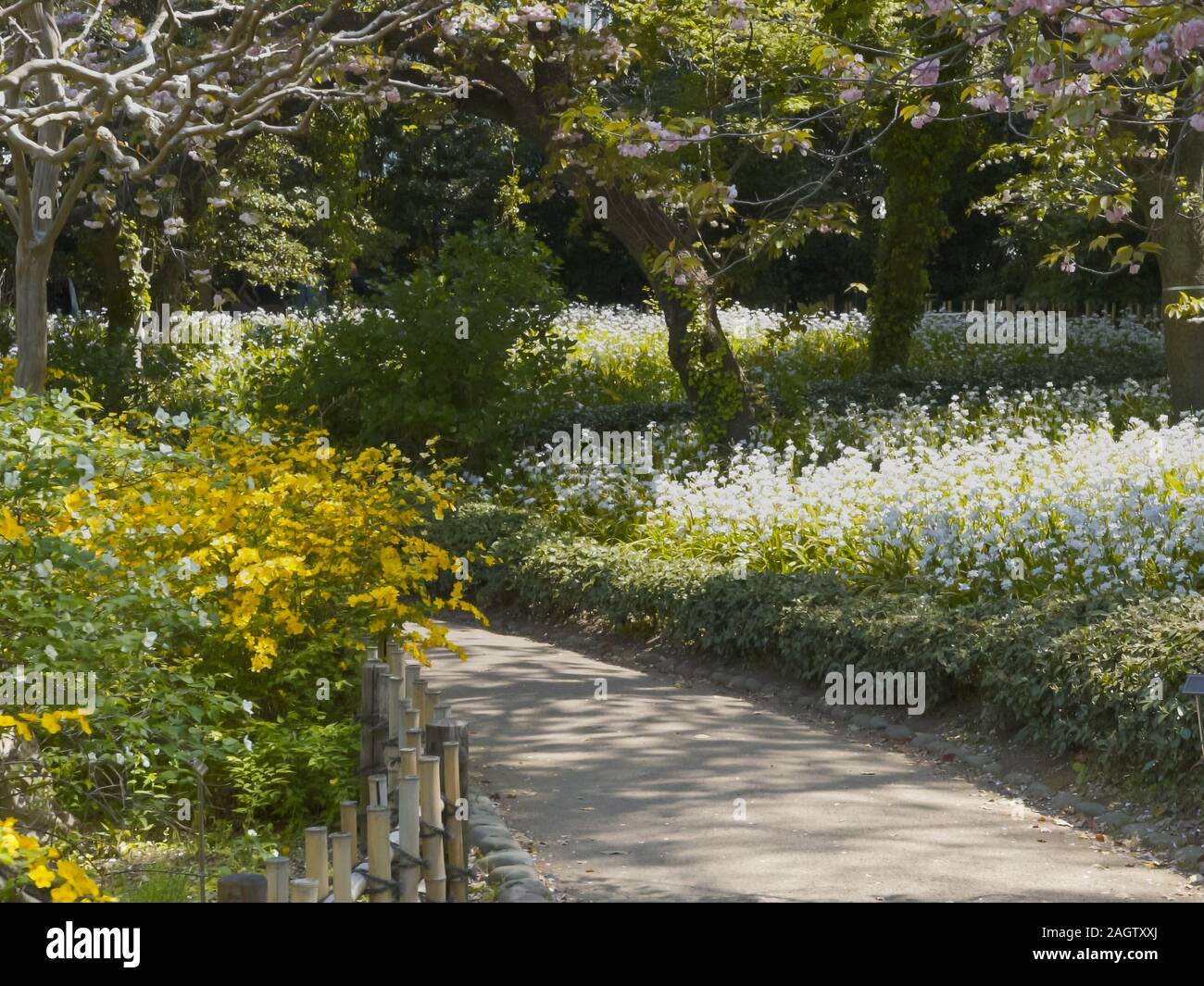 a garden path at the imperial palace in tokyo Stock Photo - Alamy