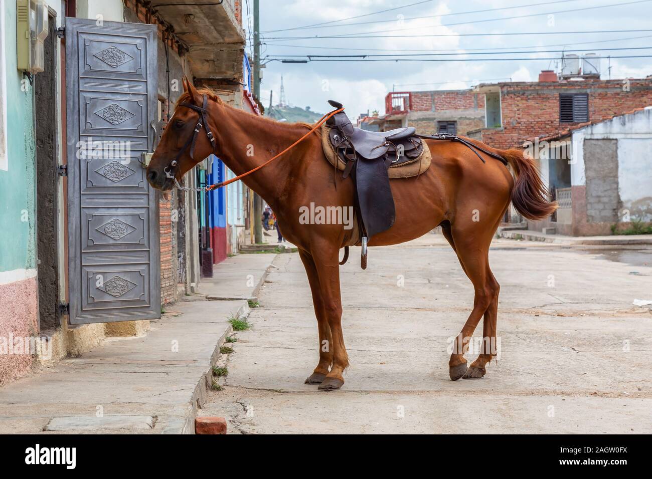 Horse in the streets of a small Cuban Town during a vibrant sunny day ...