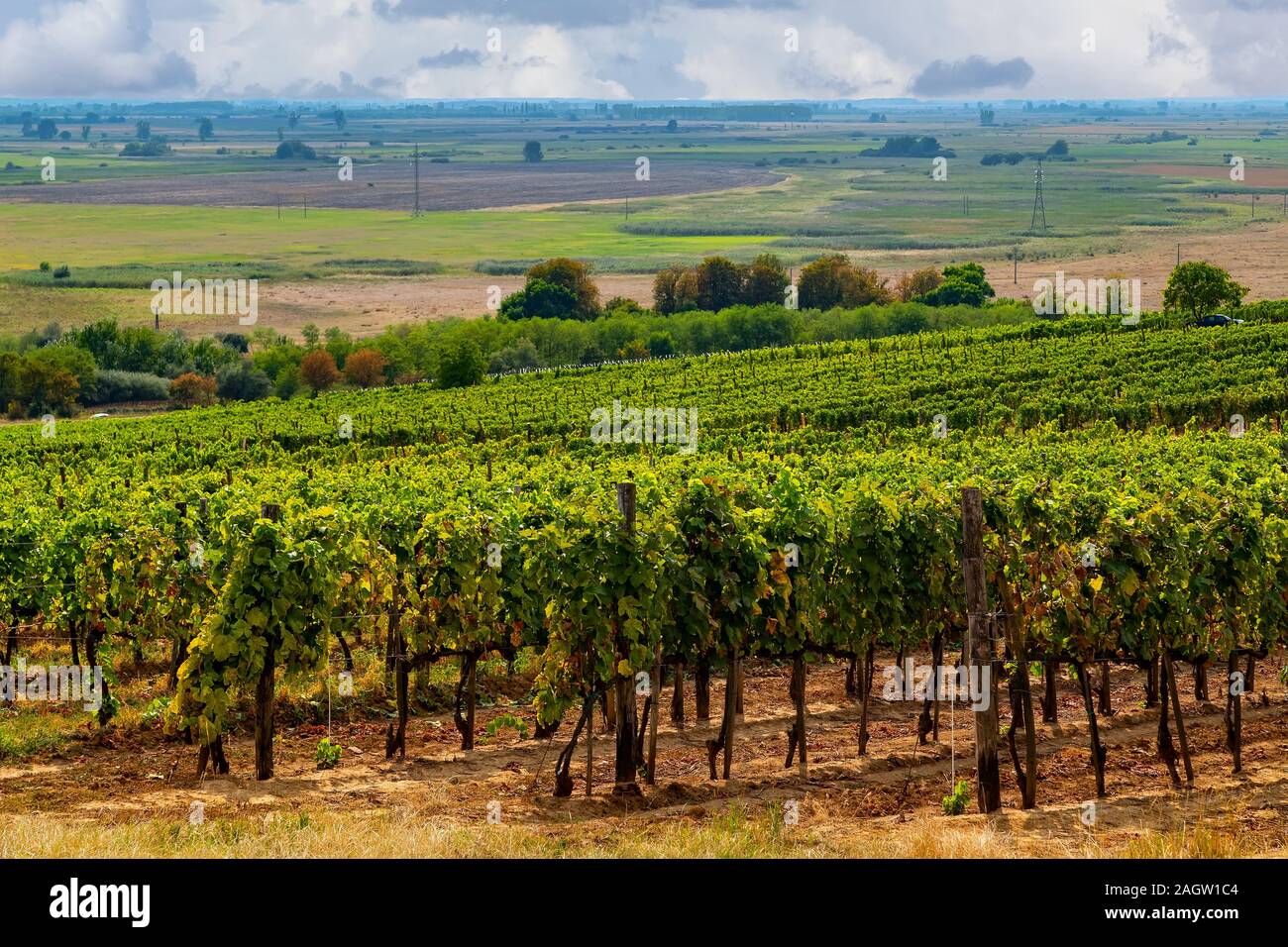 Tokaj landscape with vineyard, Hungary.Tokaj Wine Region Historic ...