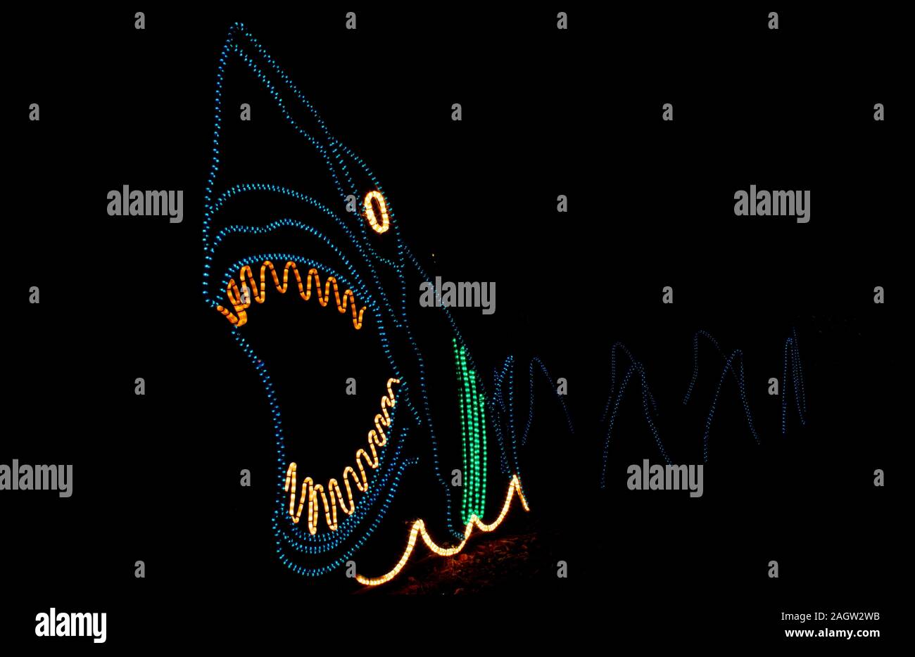 Illuminated shark figure decoration in the darkness made with string ...