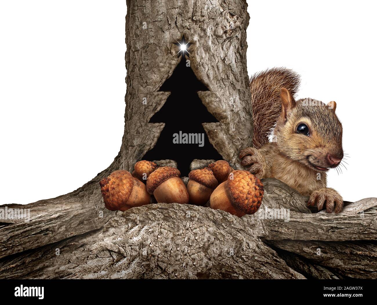 Evergreen christmas tree icon hi-res stock photography and images - Alamy
