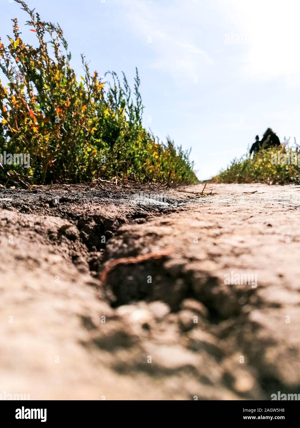 Dried up due hi-res stock photography and images - Alamy