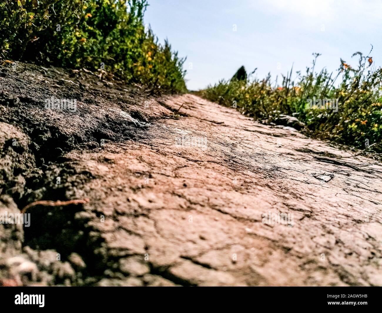 Dried up due hi-res stock photography and images - Alamy