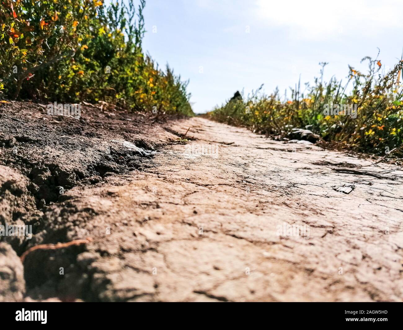 Dried Up Due High Resolution Stock Photography and Images - Alamy