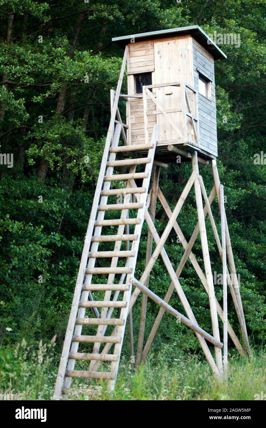 Tree stand, deer stand for hunters in forest Stock Photo - Alamy