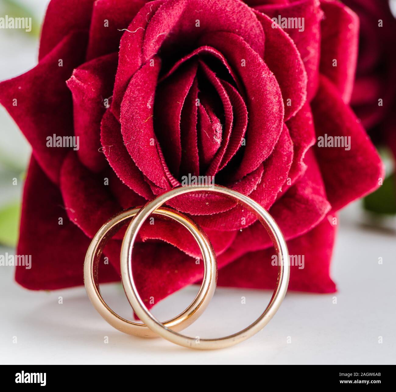 The wedding concept with rings and roses Stock Photo - Alamy