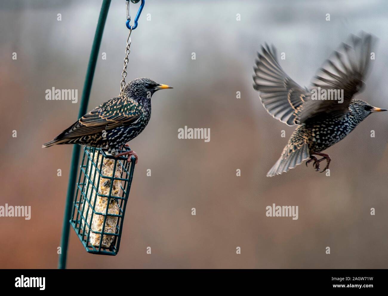 Leaving going away hi-res stock photography and images - Alamy