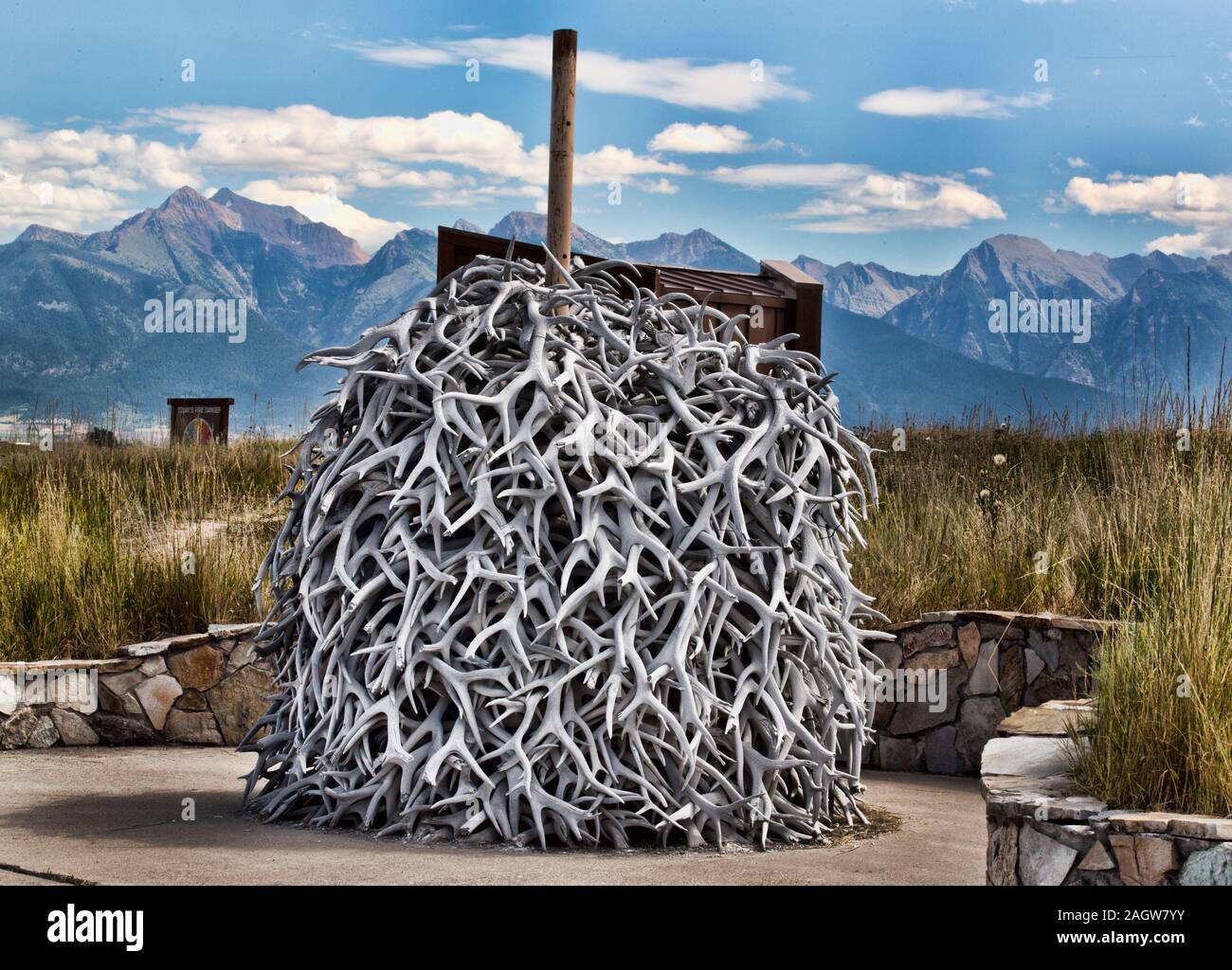 Animal horns collection hi-res stock photography and images - Alamy