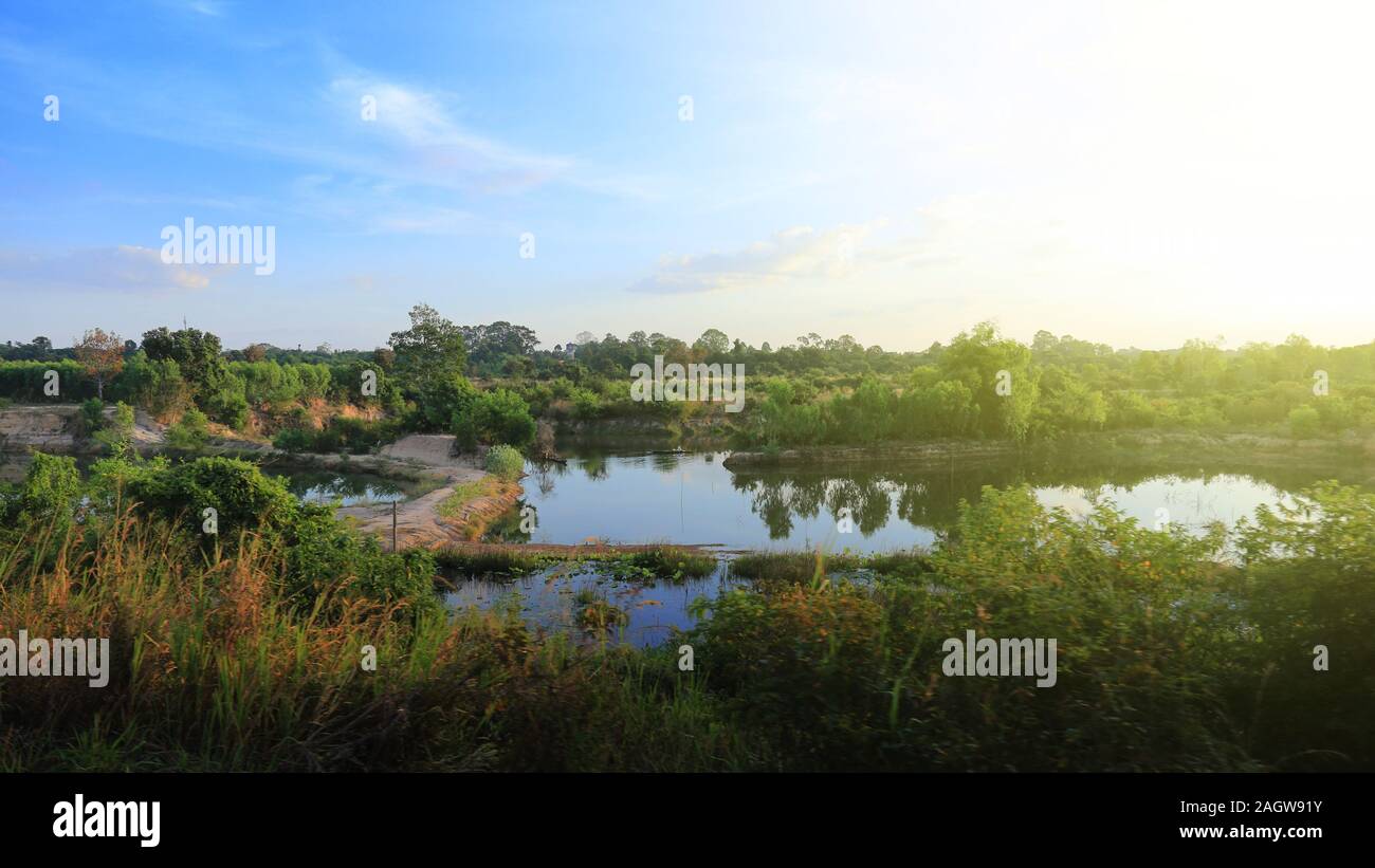 disturbed wetland. natural pond with dirt road construction as a dike ...