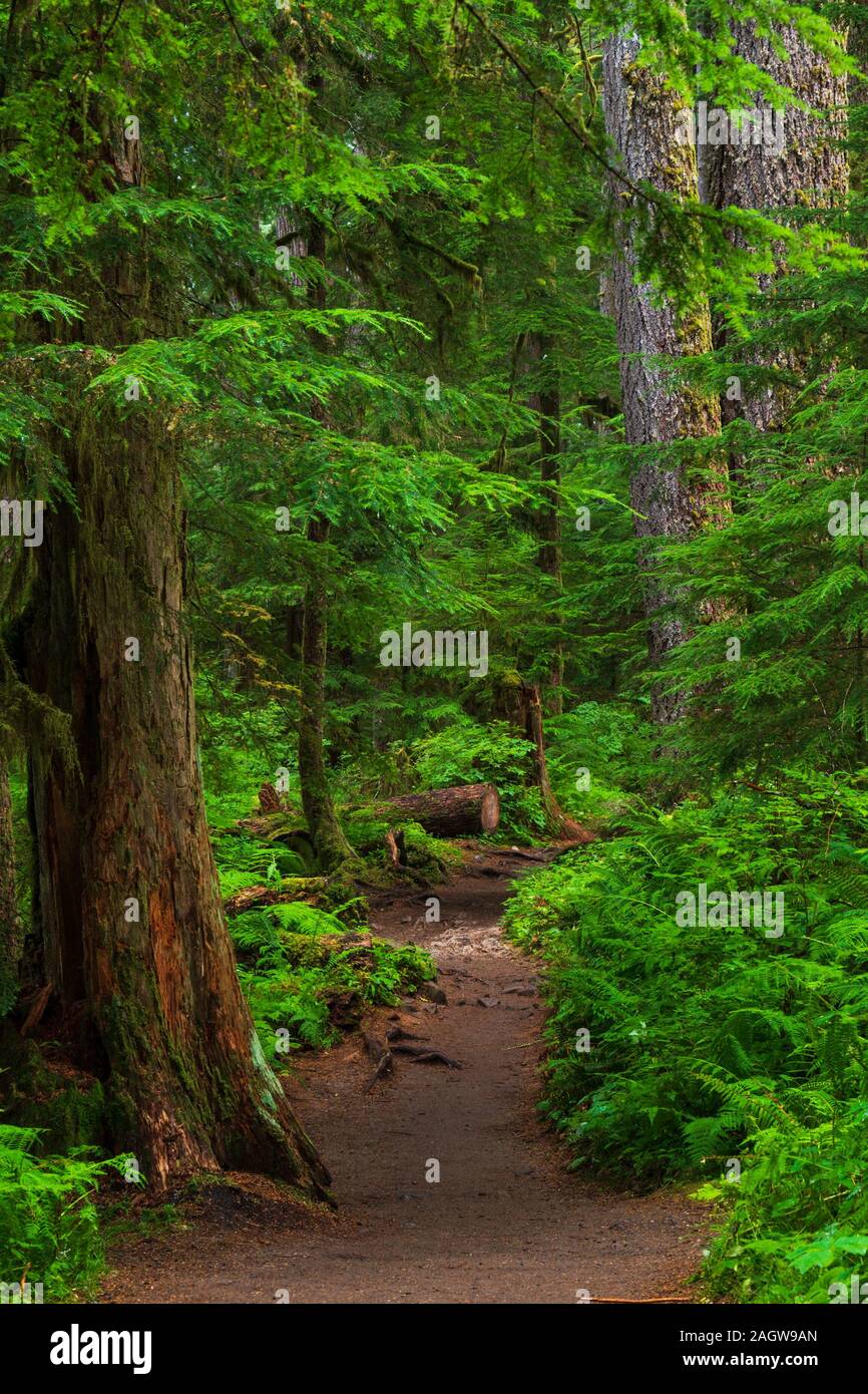Sol Duc High Resolution Stock Photography and Images - Alamy