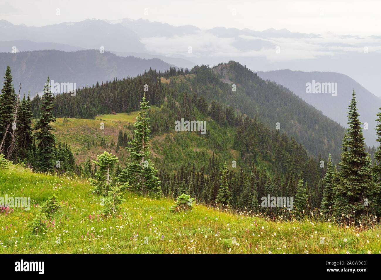 Obstruction point road hi-res stock photography and images - Alamy