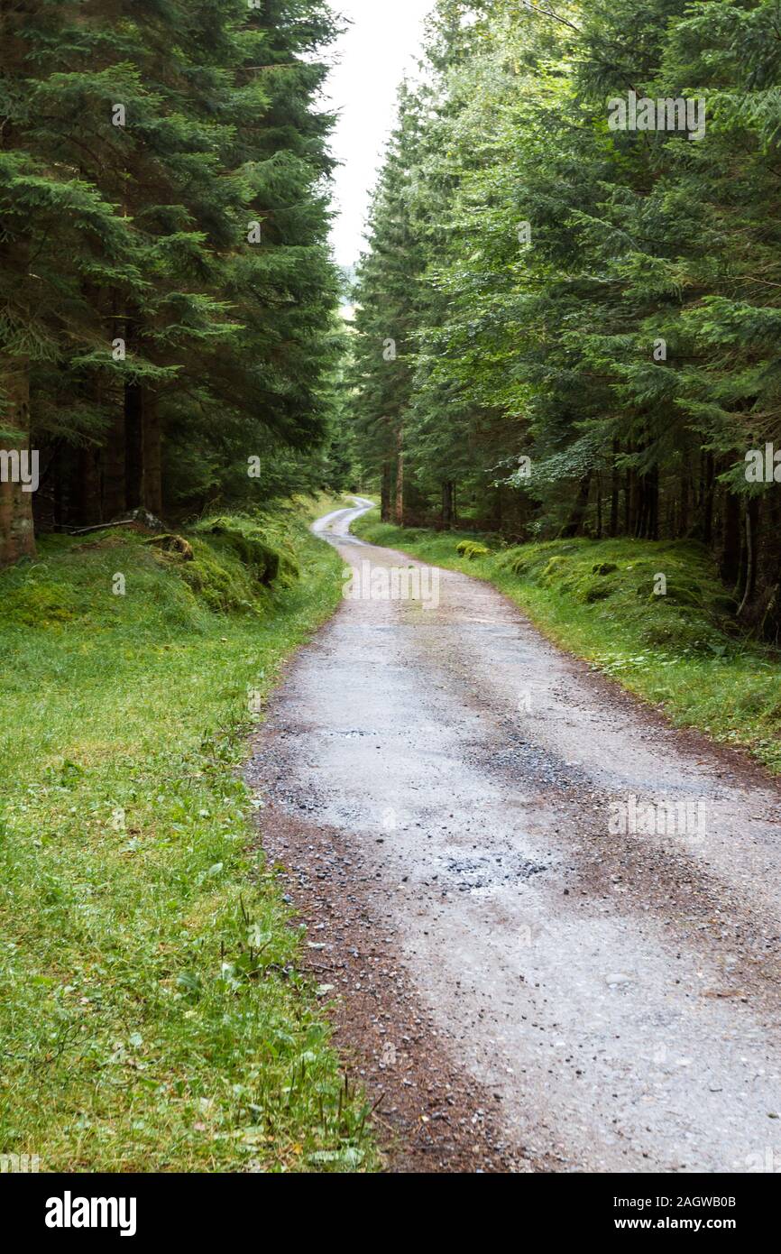Walking woods path scotland highlands hi-res stock photography and ...