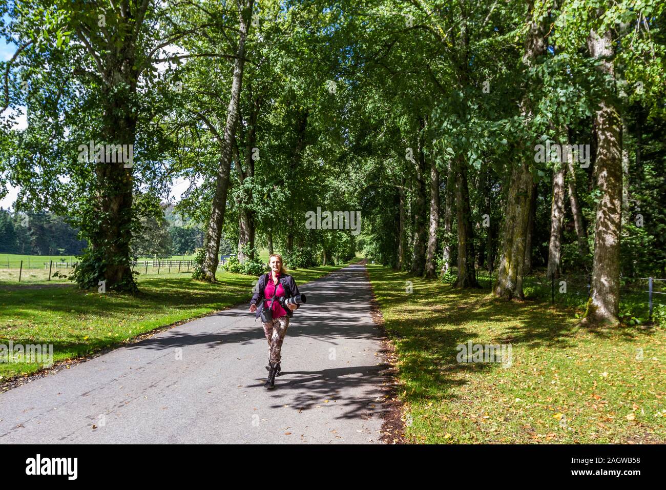 Photographer walking down a tree lined driveway in the Scottish ...