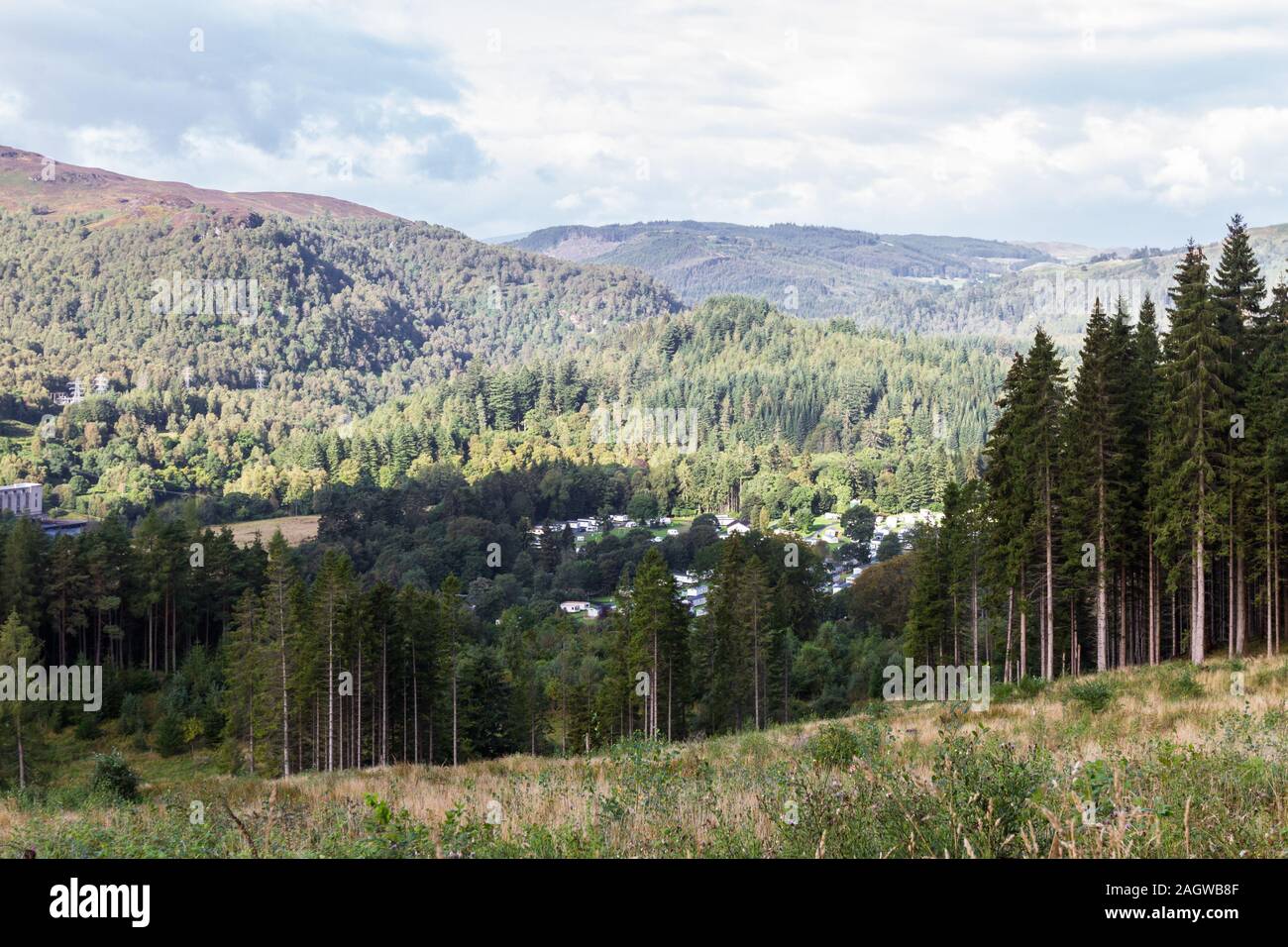 scenic views of the Scottish highlands with abundant natural vegetation ...