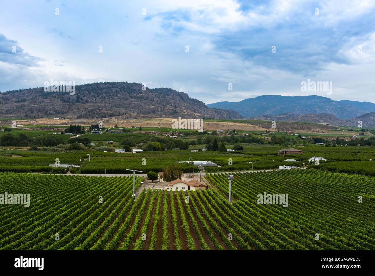 vineyard farmhouses landscape top view, Okanagan Valley wine region is ...