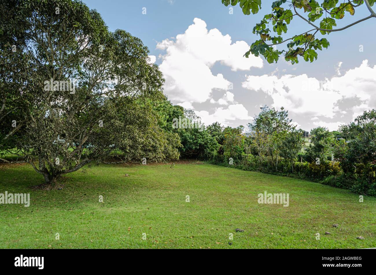 Beautiful jamaican landscape hi-res stock photography and images - Alamy