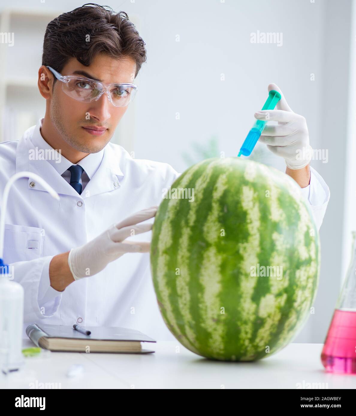 The scientist testing watermelon in lab Stock Photo - Alamy