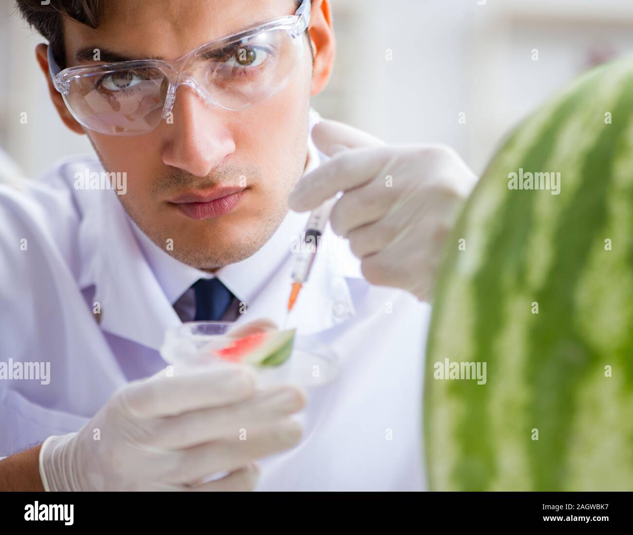 The scientist testing watermelon in lab Stock Photo - Alamy