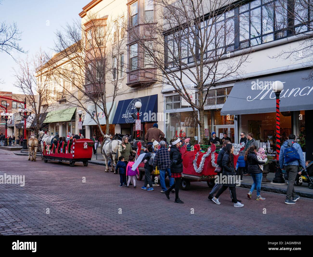 Horse drawn carriage chicago illinois hi-res stock photography and ...