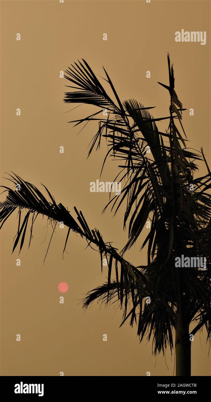 Australian sun affected by smoke hi-res stock photography and images ...