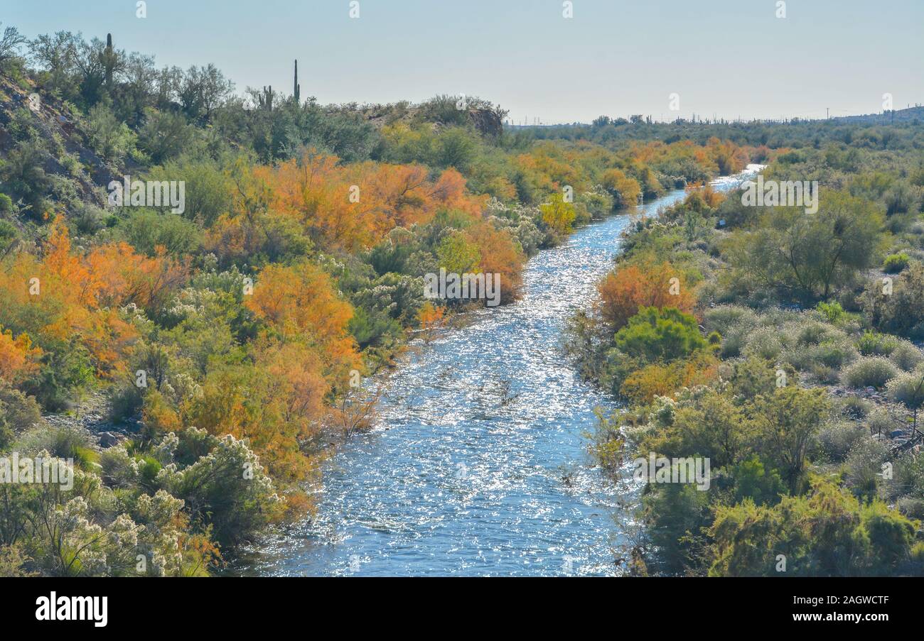 Agua Fria River in the southwest desert of Peoria, Maricopa County ...