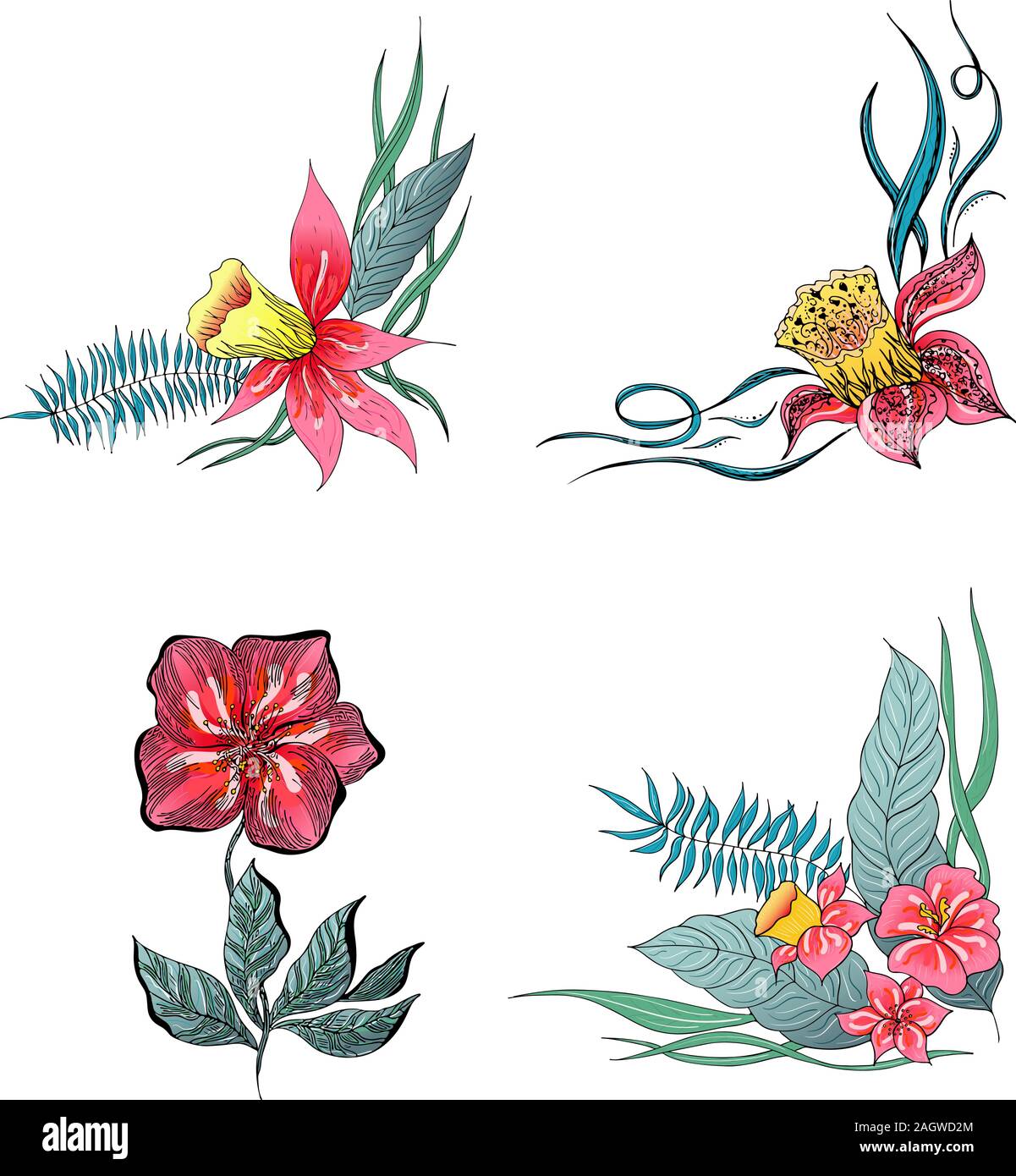 Set of 4 summer colorful tropical flowers. Floral botanical flower set ...