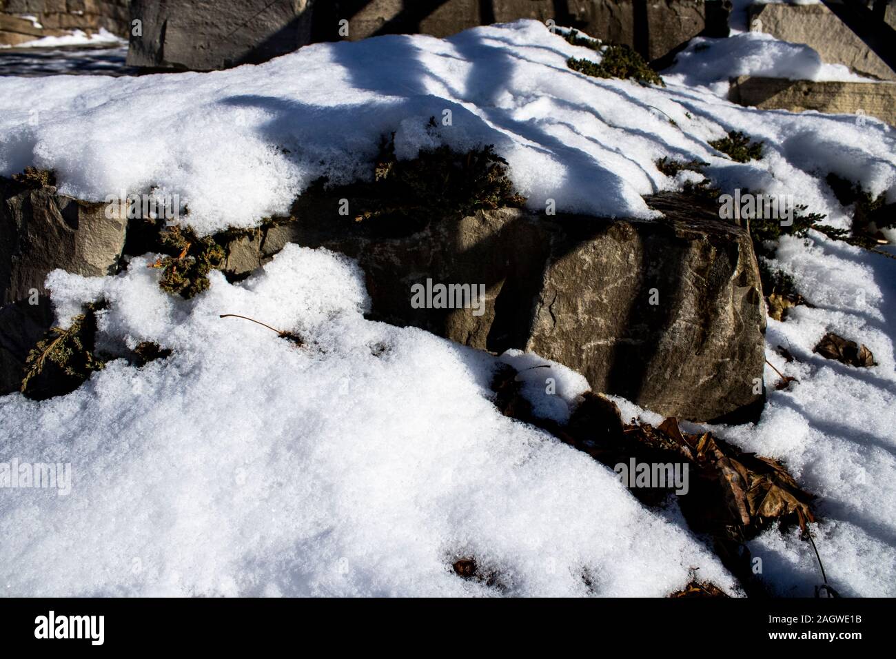 Hello winter hi-res stock photography and images - Alamy