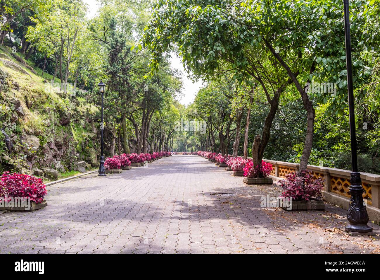 Foot path to the Chapultepec Castle. Located on top of Chapultepec Hill ...