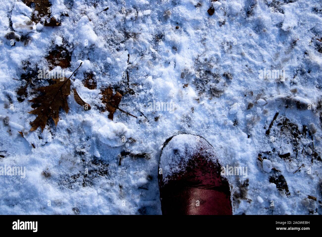 Light snow on ground hi-res stock photography and images - Alamy