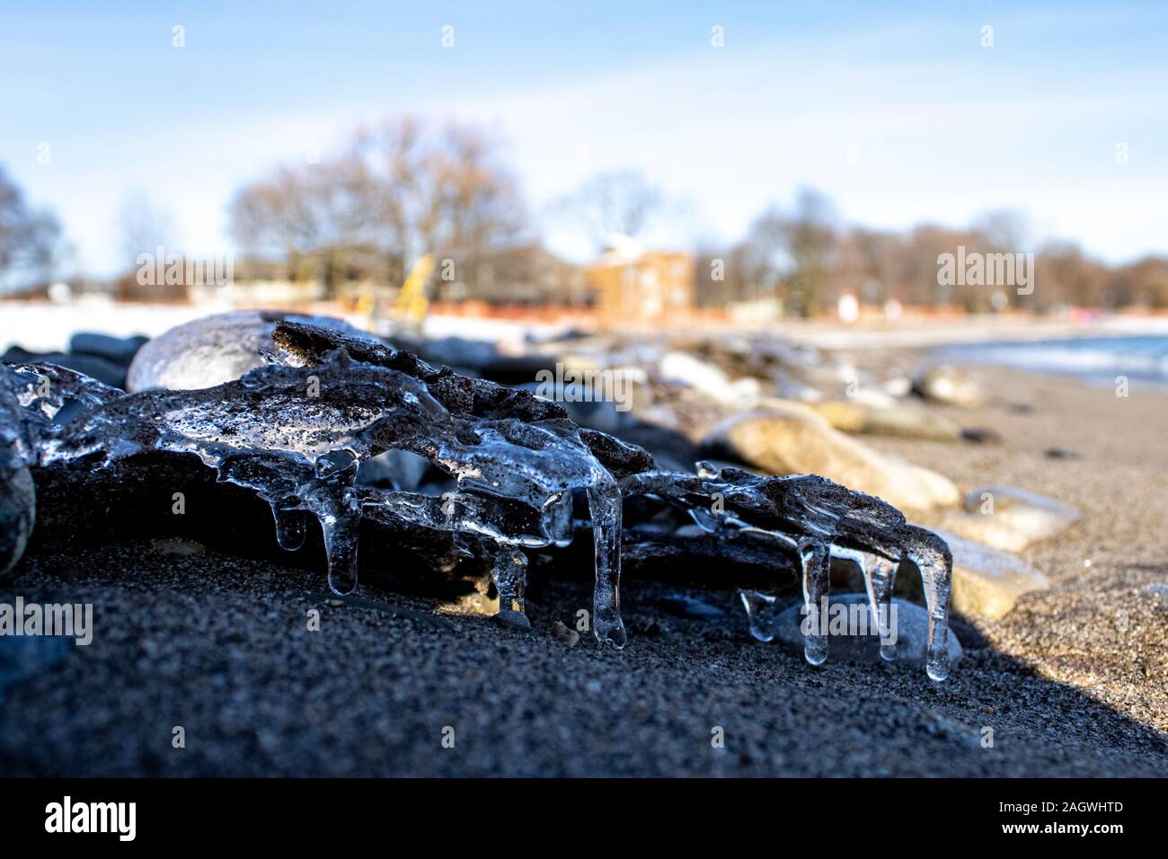 Beautiful ice shapes from objects in the beach Stock Photo - Alamy