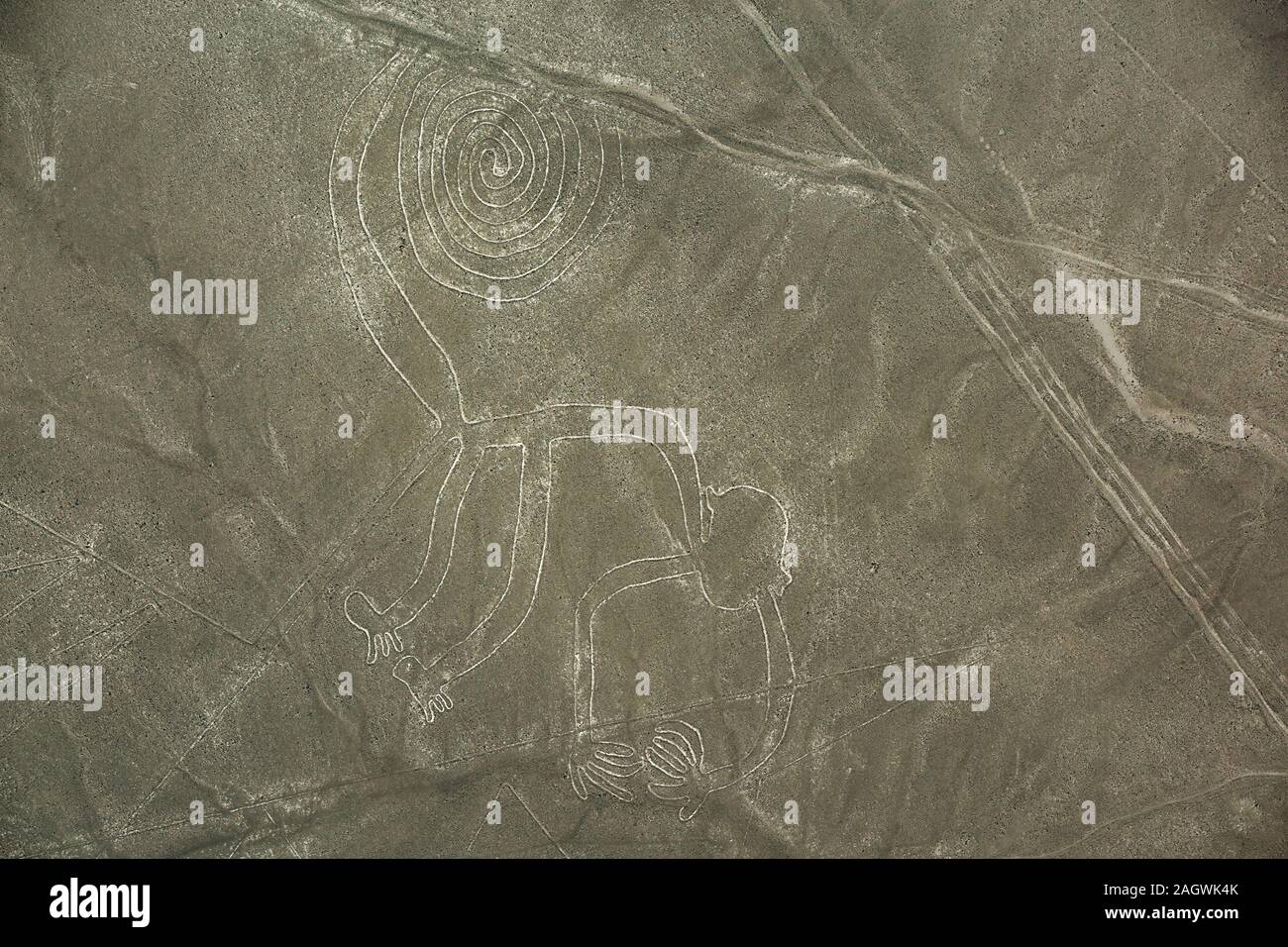 Mysterious Nazca lines on desert in Peru, South America Stock Photo - Alamy
