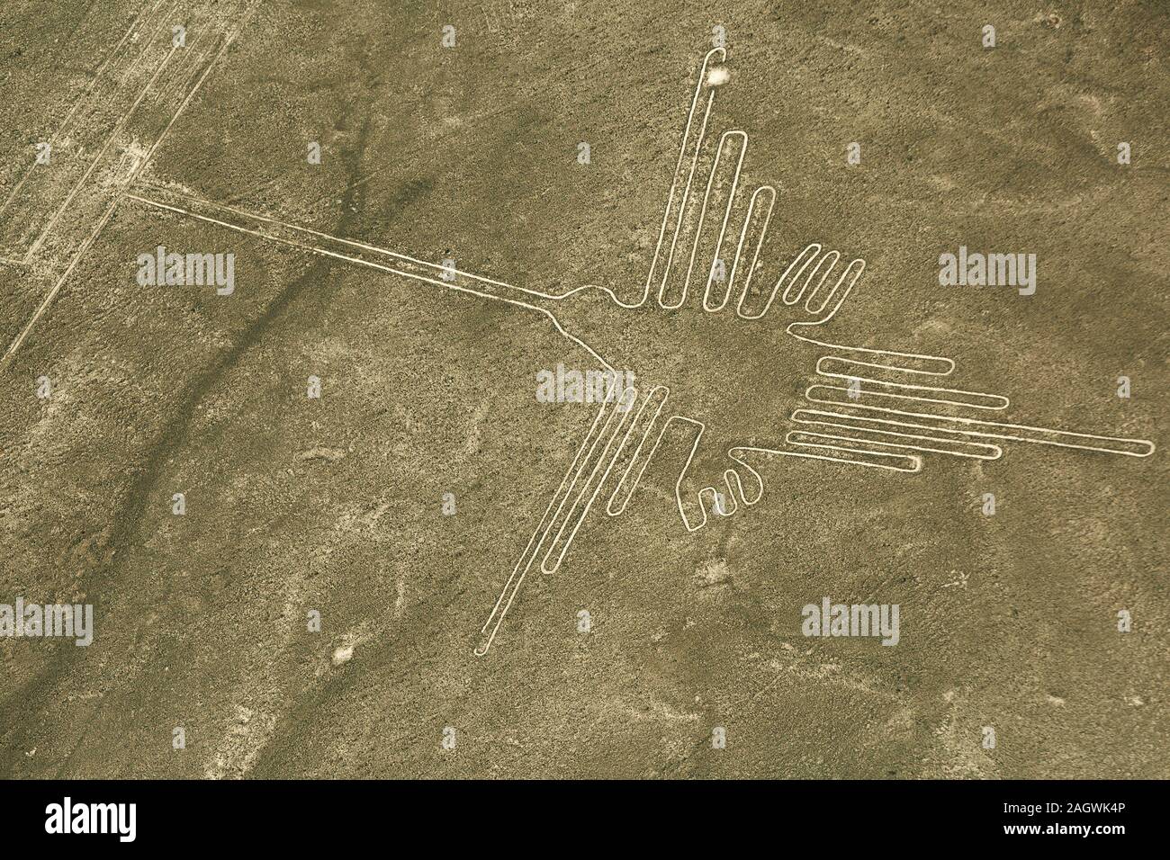 Mysterious Nazca lines on desert in Peru, South America Stock Photo - Alamy