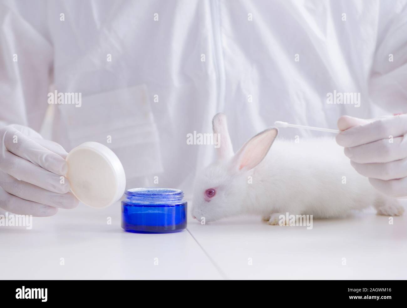 The white rabbit in scientific lab experiment Stock Photo - Alamy