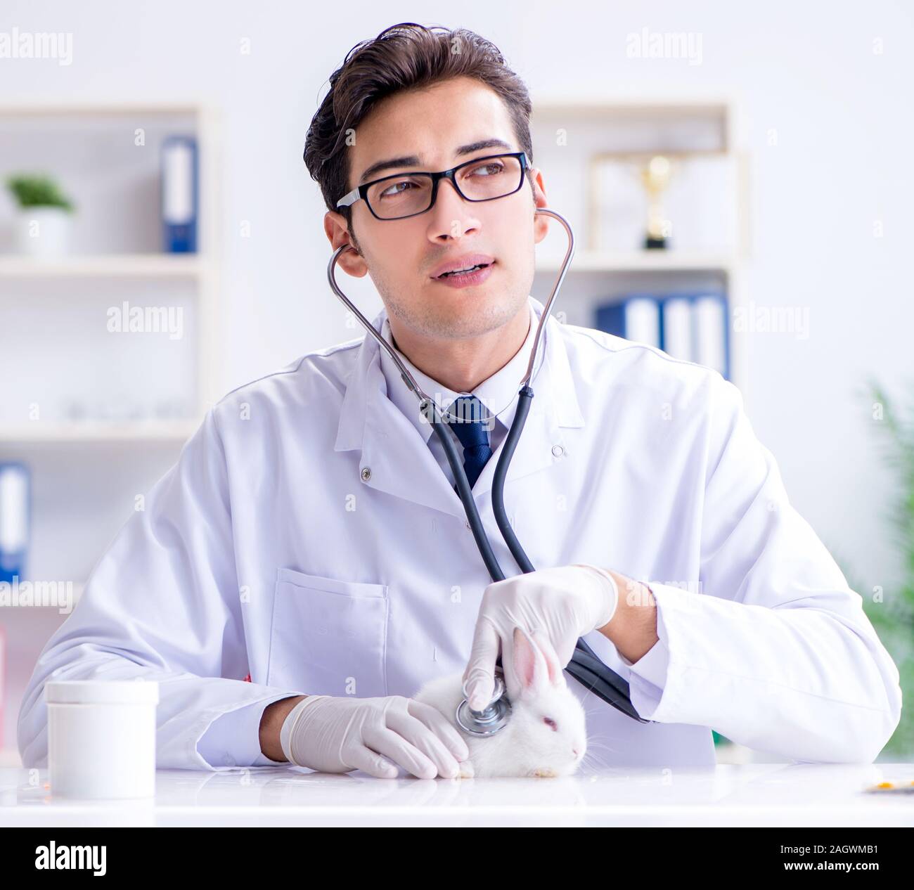The vet doctor examining rabbit in pet hospital Stock Photo - Alamy