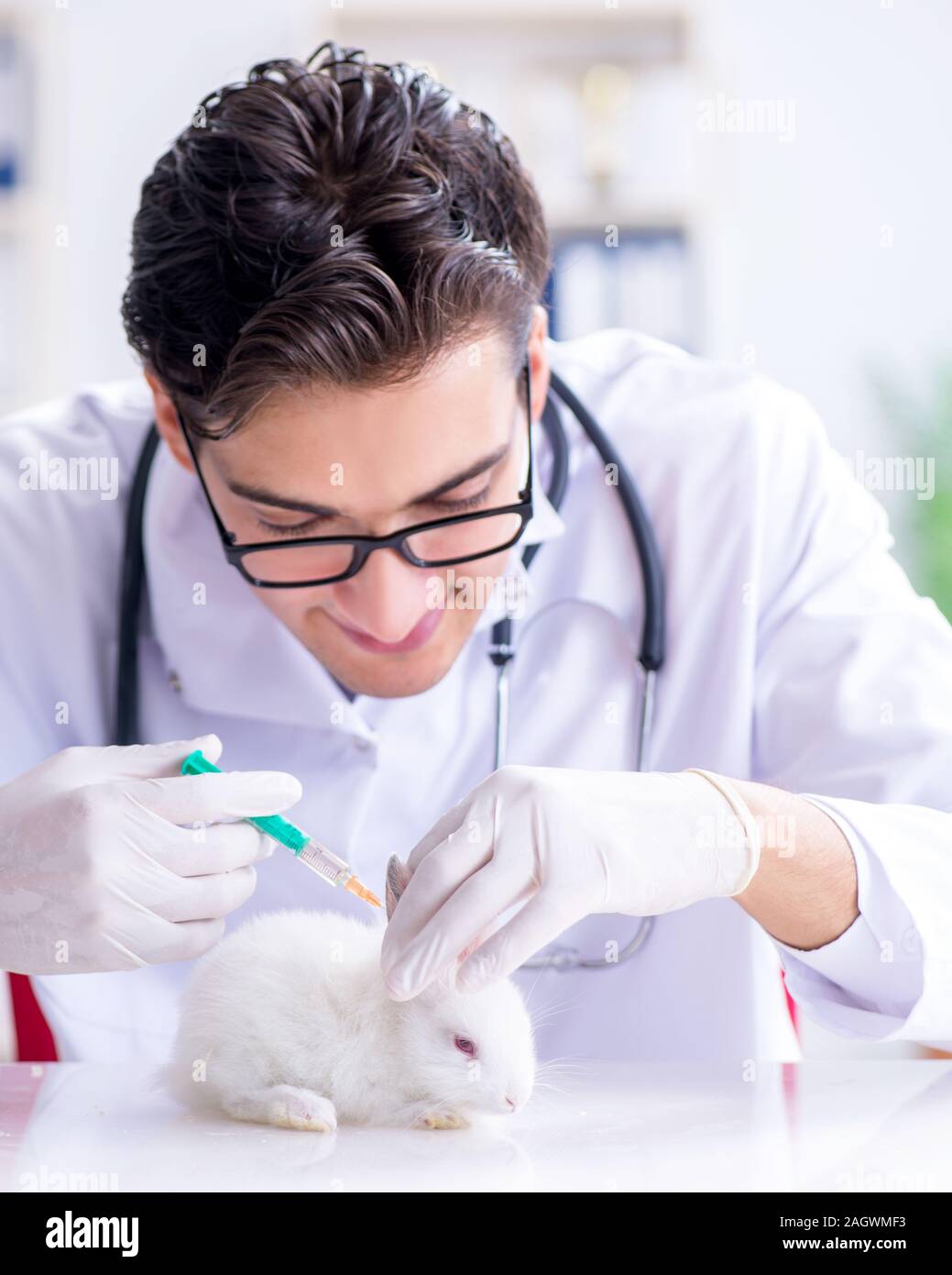 The vet doctor examining rabbit in pet hospital Stock Photo - Alamy