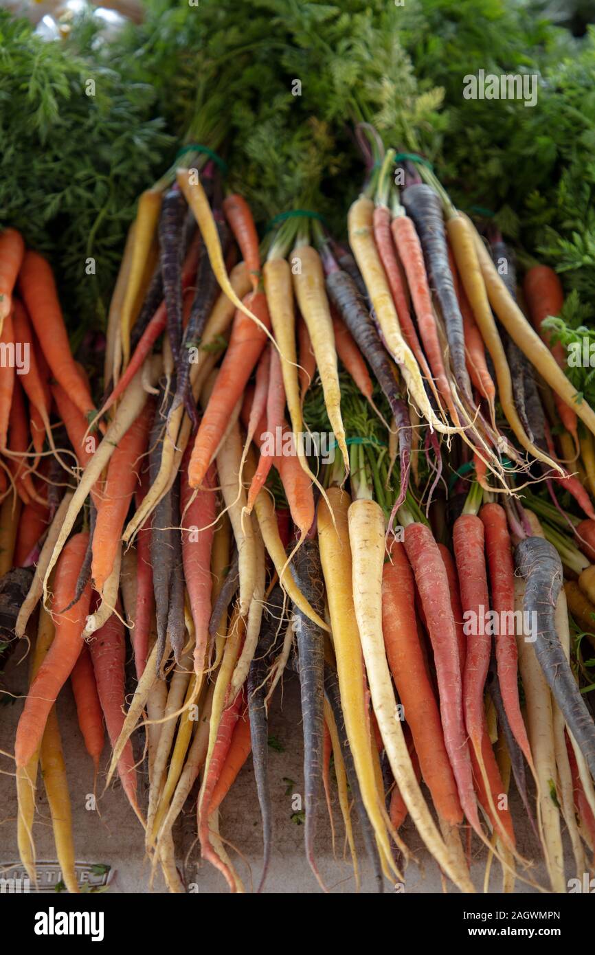 Different coloured carrots seen at a farmers market in Perth, Western ...