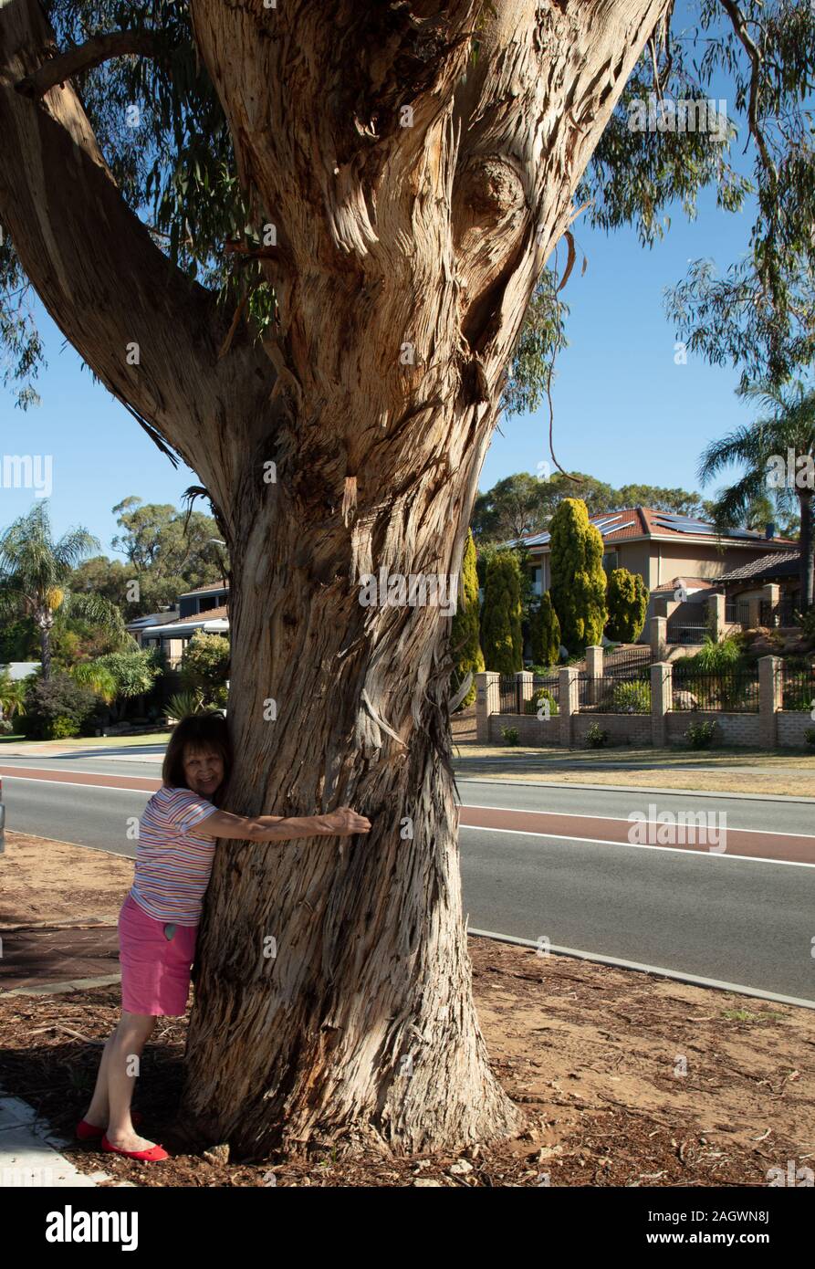 Australia tree hugger hi-res stock photography and images - Alamy