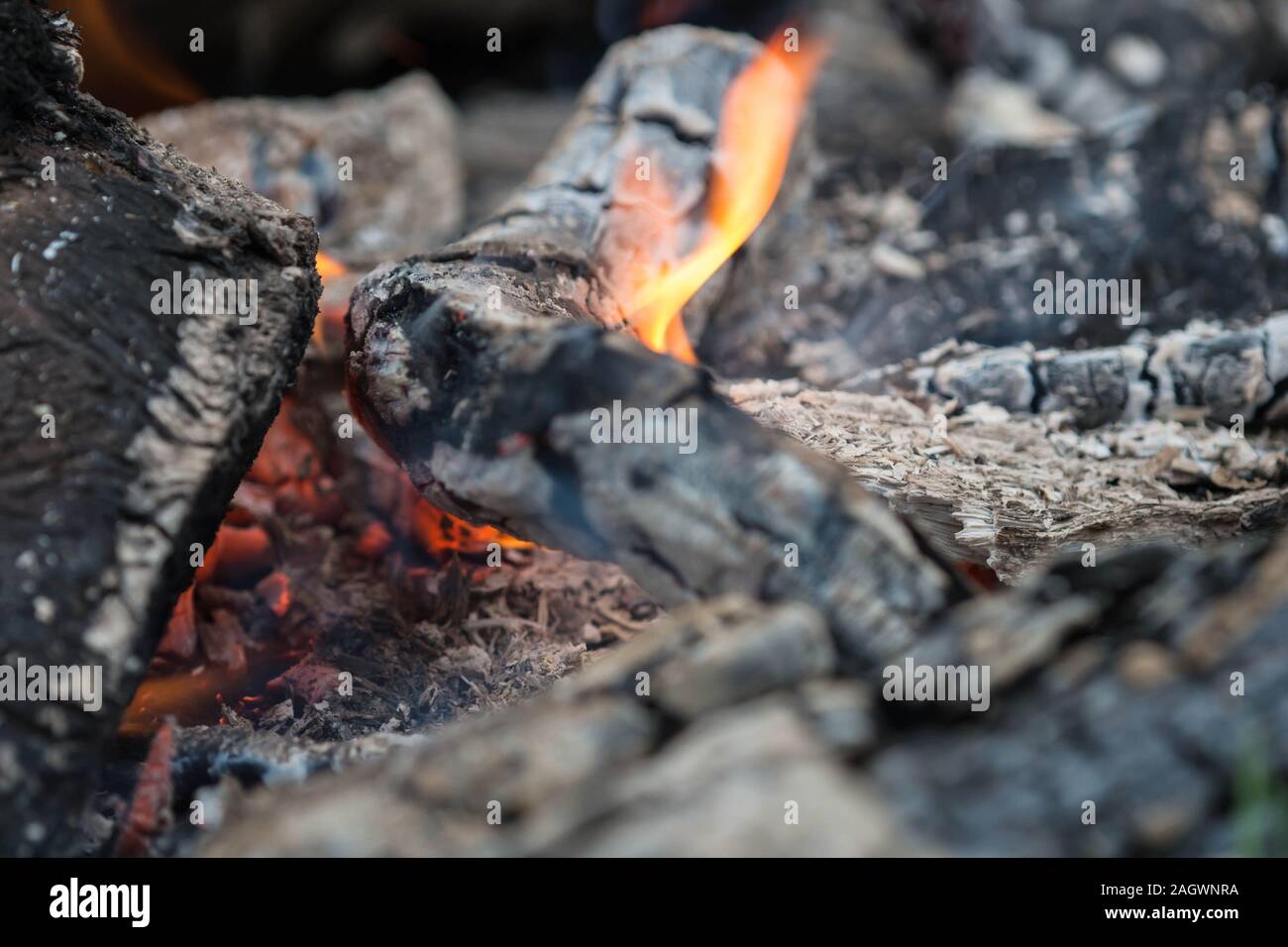 Burnt logs and fire flames close-up. Abstract background Stock Photo ...