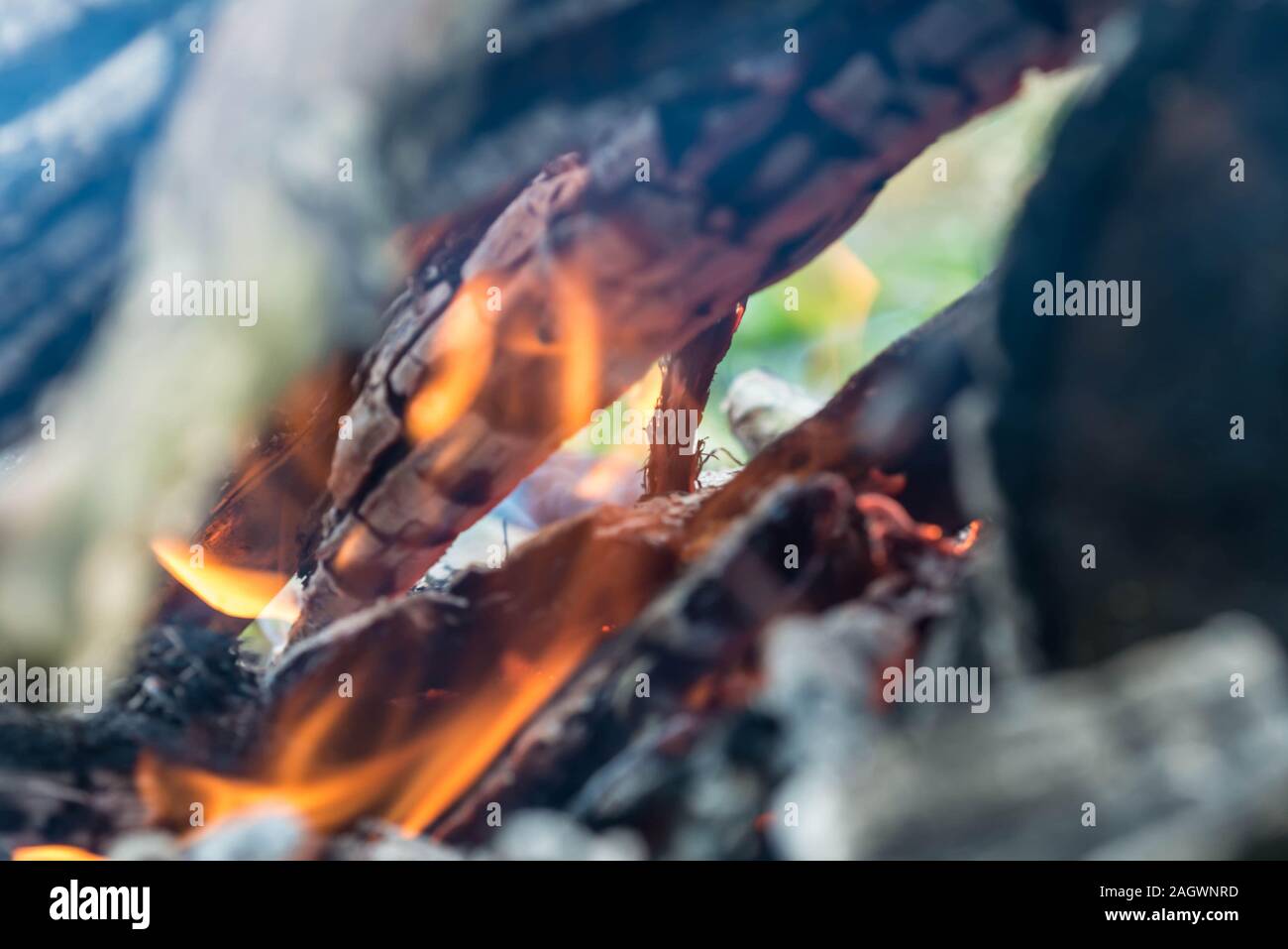 Beautiful forest fire flames close hi-res stock photography and images ...
