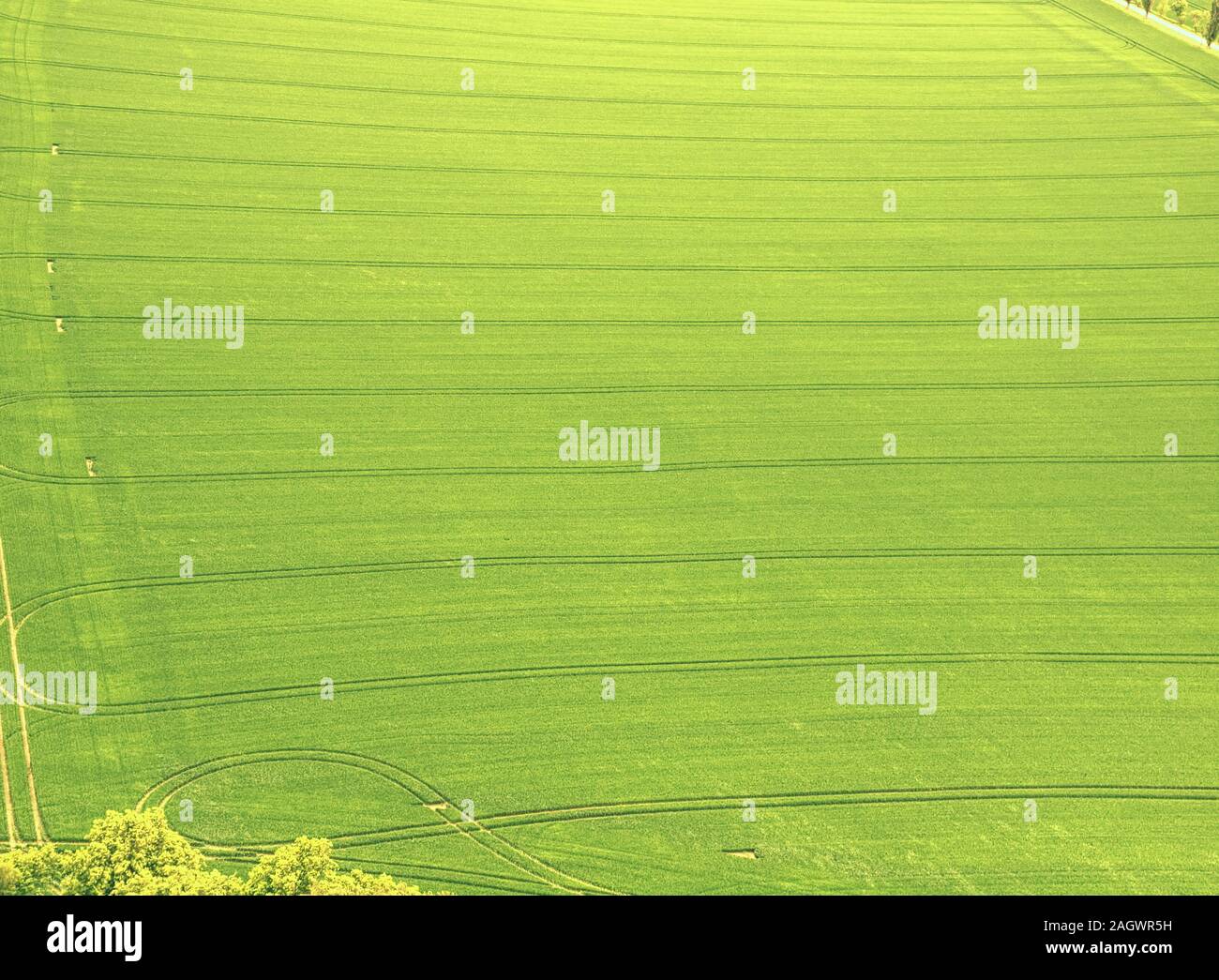 Aerial View Green Spring Field Landscape With Trails Lines. Flat View ...